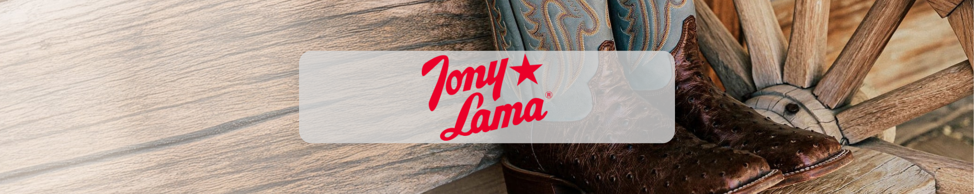 Tony Lama Boots